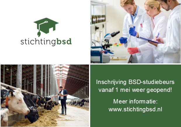 Aanvraagprocedure BSD-studiebeurs opent op 1 mei • De Molenaar